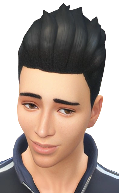 John Goodwin | Sims4HungerGames Wiki | Fandom