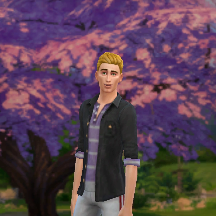 Dario Filipovic | SimsvisionSuperstar Wiki | Fandom