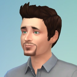 SimGuru | The Sims Wiki | Fandom