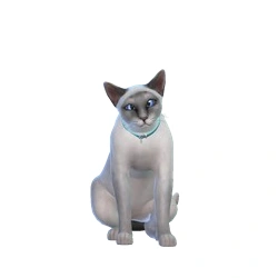 Doutor | The Sims Wiki | Fandom