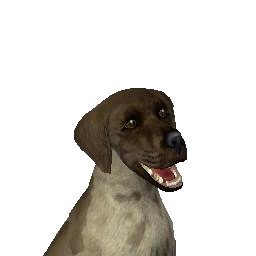 Cleo | The Sims Wiki | Fandom