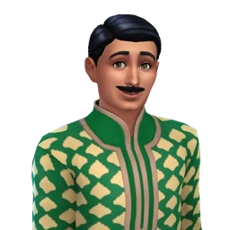 Raj Parikh | The Sims Wiki | Fandom