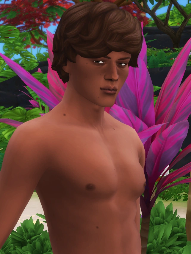 Lincoln Miles | Simvivor by Bartosh Wiki | Fandom