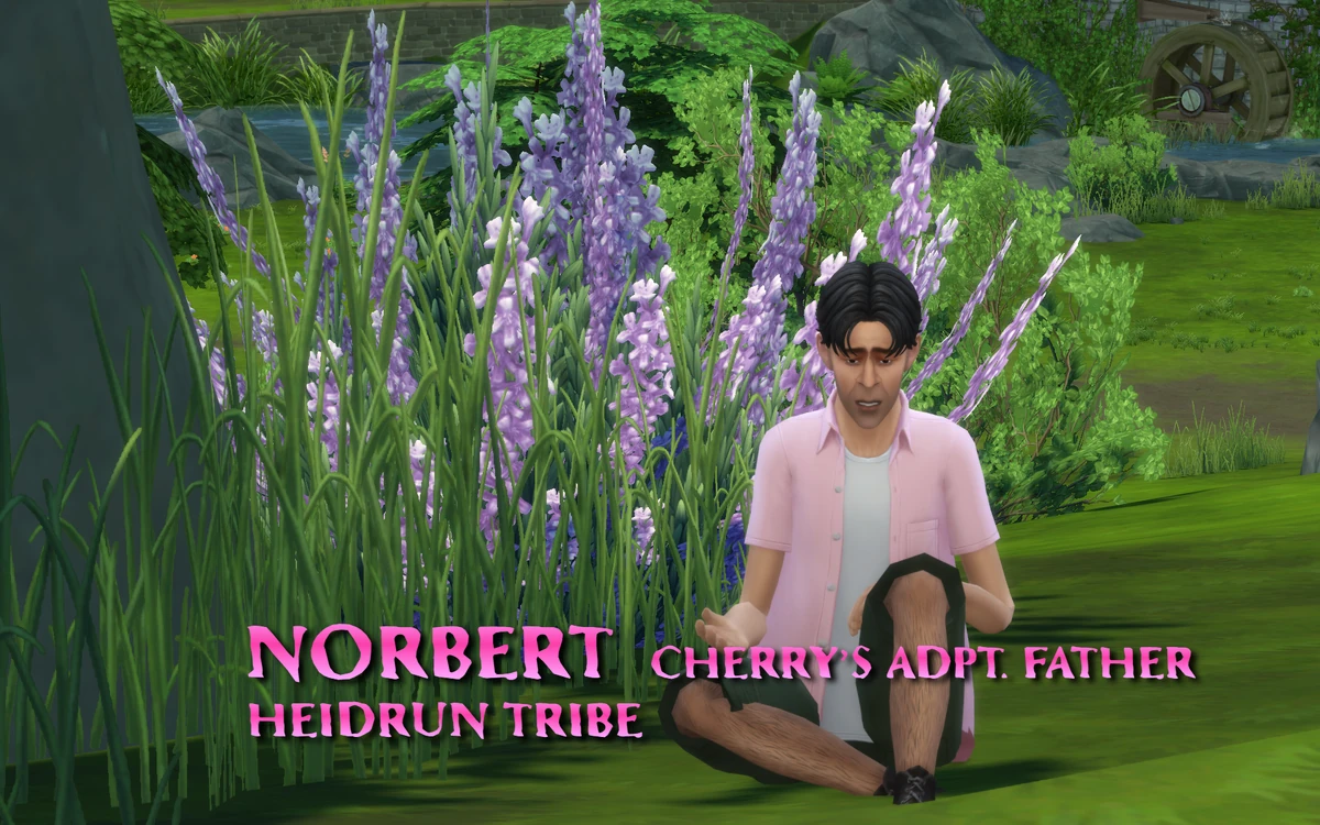 Norbert Brooks | Simvivor by Bartosh Wiki | Fandom