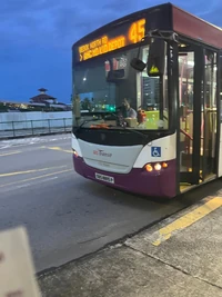 Services 40 - 49 | Singapore Bus Deployments Wikia | Fandom
