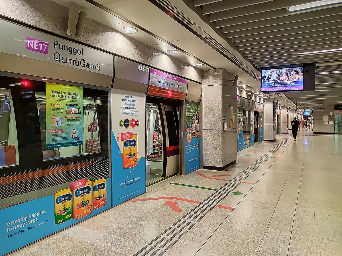 North-East Line | Singapore MRT Lines Wiki | Fandom