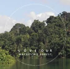 Love Our MacRitchie Forest | Singapore's Green Lobang Wiki | Fandom