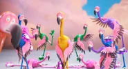 Flamingos/Gallery | Sing Wiki | Fandom