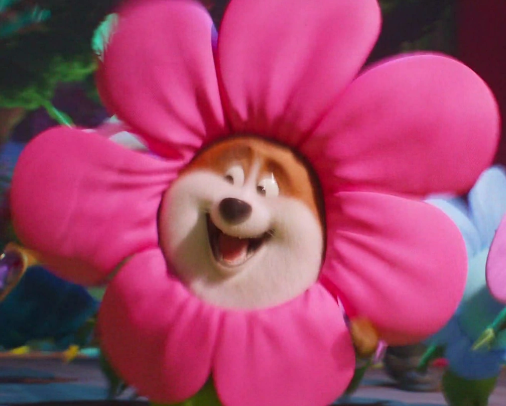 Sammy | Sing Wiki | Fandom