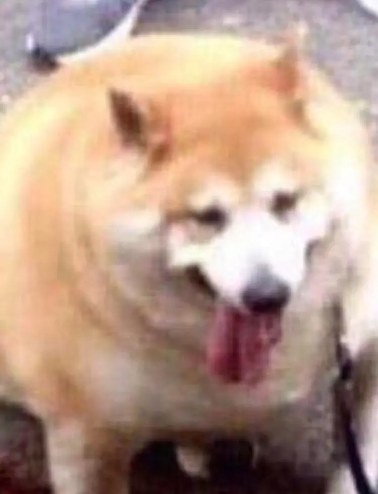 Kris | Sinners Dinner Wiki | Fandom