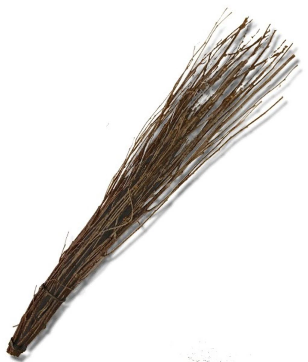 De roe van Zwarte Piet | Sinterklaasclub wiki | Fandom