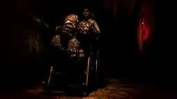 All types of shibitos | Siren blood curse Wiki | Fandom