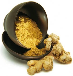 ลักษณะของสมุนไพร | Siripa_herbal-tropical Wiki | Fandom