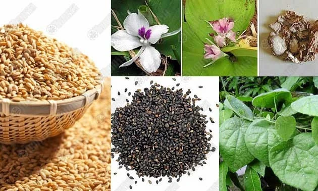 จำแนกตามรสของสมุนไพร | Siripa_herbal-tropical Wiki | Fandom