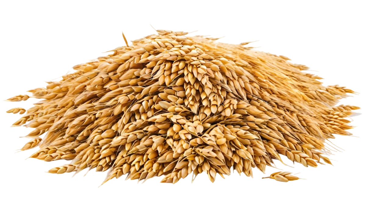 Wheat | Sirus MMO Wiki | Fandom