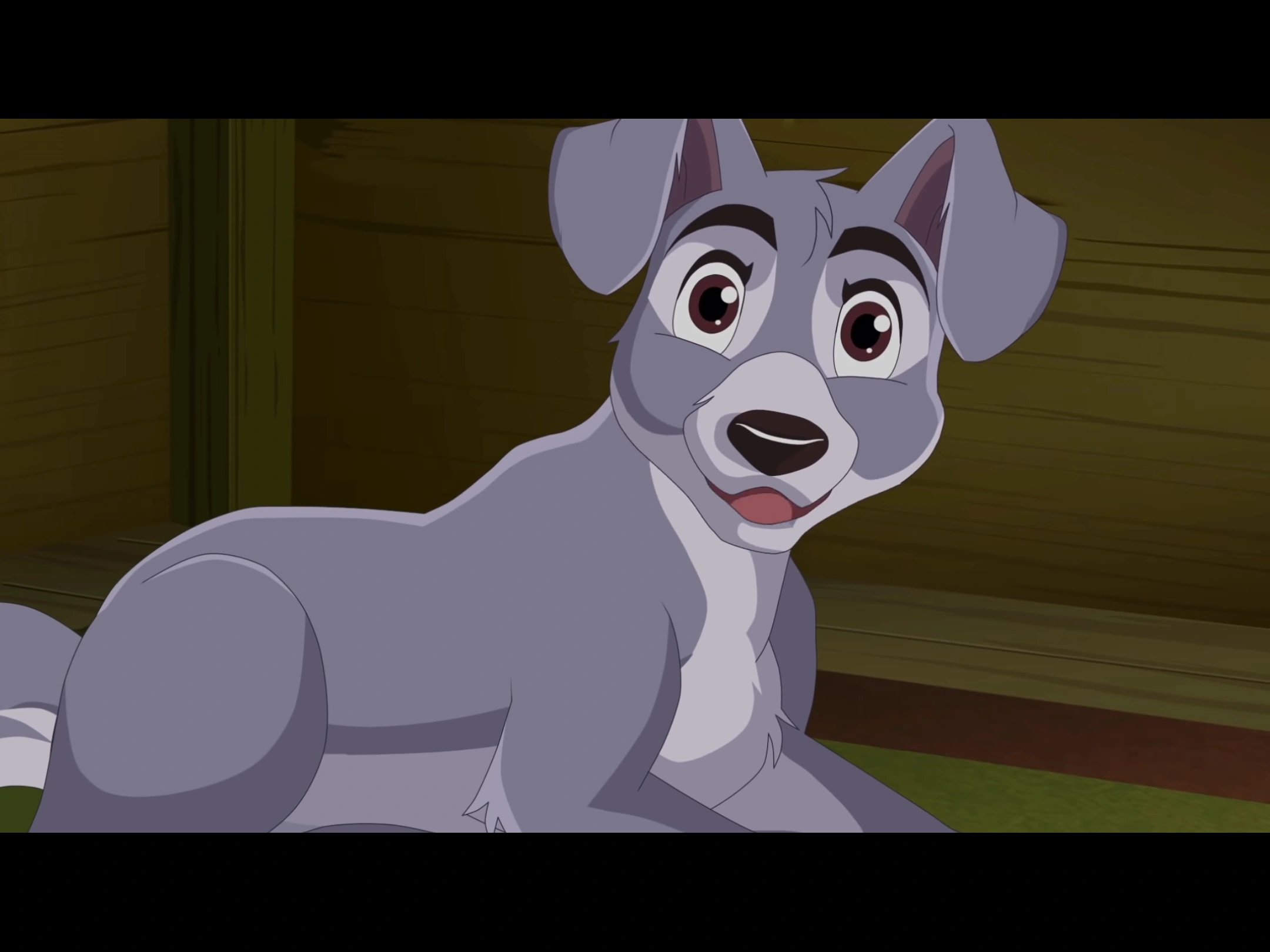 Astor | Tom and Jerry Fanon Wiki | Fandom
