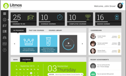 Litmos | SistemaLMS Wiki | Fandom