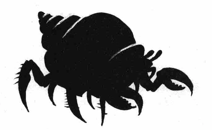 Cruel Crustacean | The Sisters Grimm Wiki | Fandom
