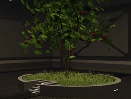 SCP-038 | Site 17 Wiki | Fandom