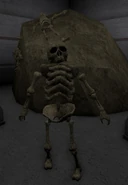 Light Containment Zone | Site - Phoenix Wiki | Fandom