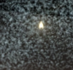 SCP-457 | Site - Phoenix Wiki | Fandom