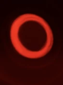 The Nova Dominion - Advanced | Site-006 Wiki (Unofficial) Wiki | Fandom