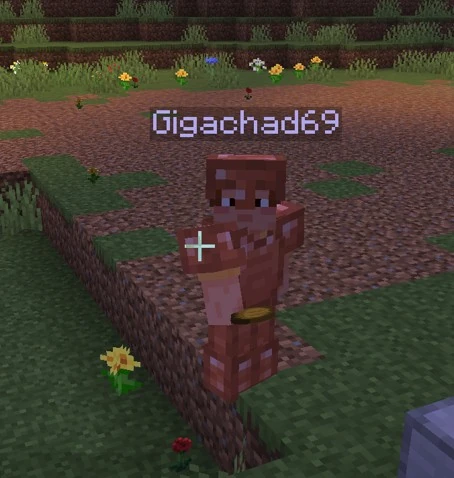 Gigachad69 | Six Reasons Wiki | Fandom