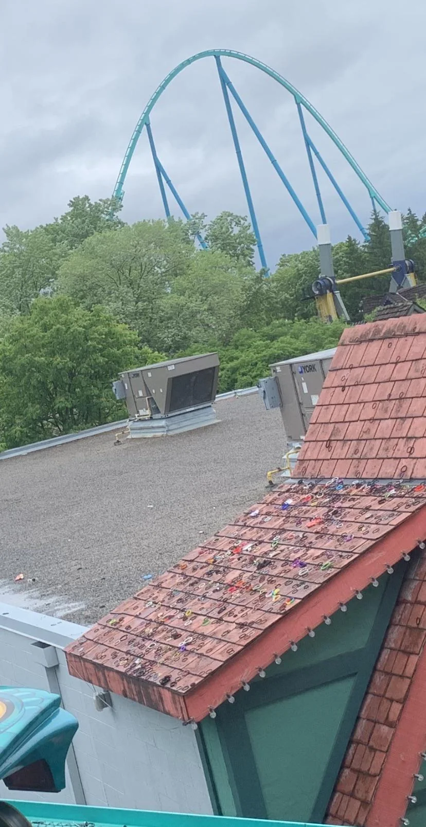 Hair ties | Six Flags Wiki | Fandom