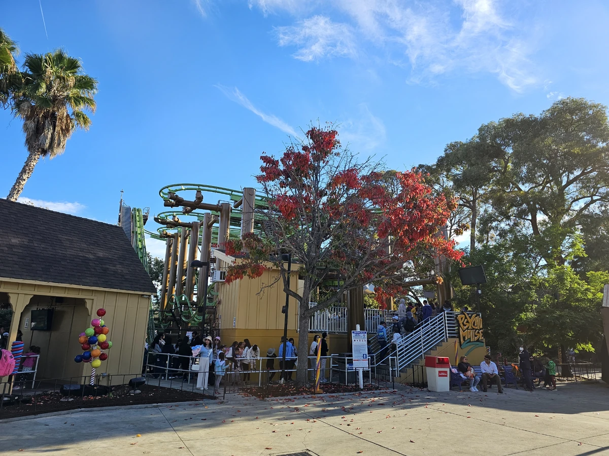 Psycho Mouse | Six Flags Wiki | Fandom