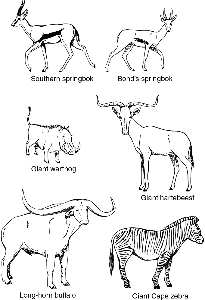 Southern Springbok | Sixth Extinction Wiki | Fandom