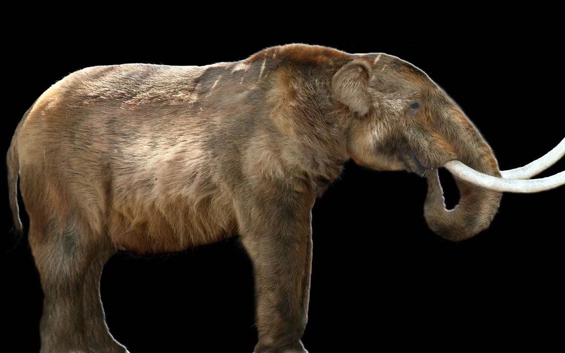 Mastodon | Sixth Extinction Wiki | Fandom