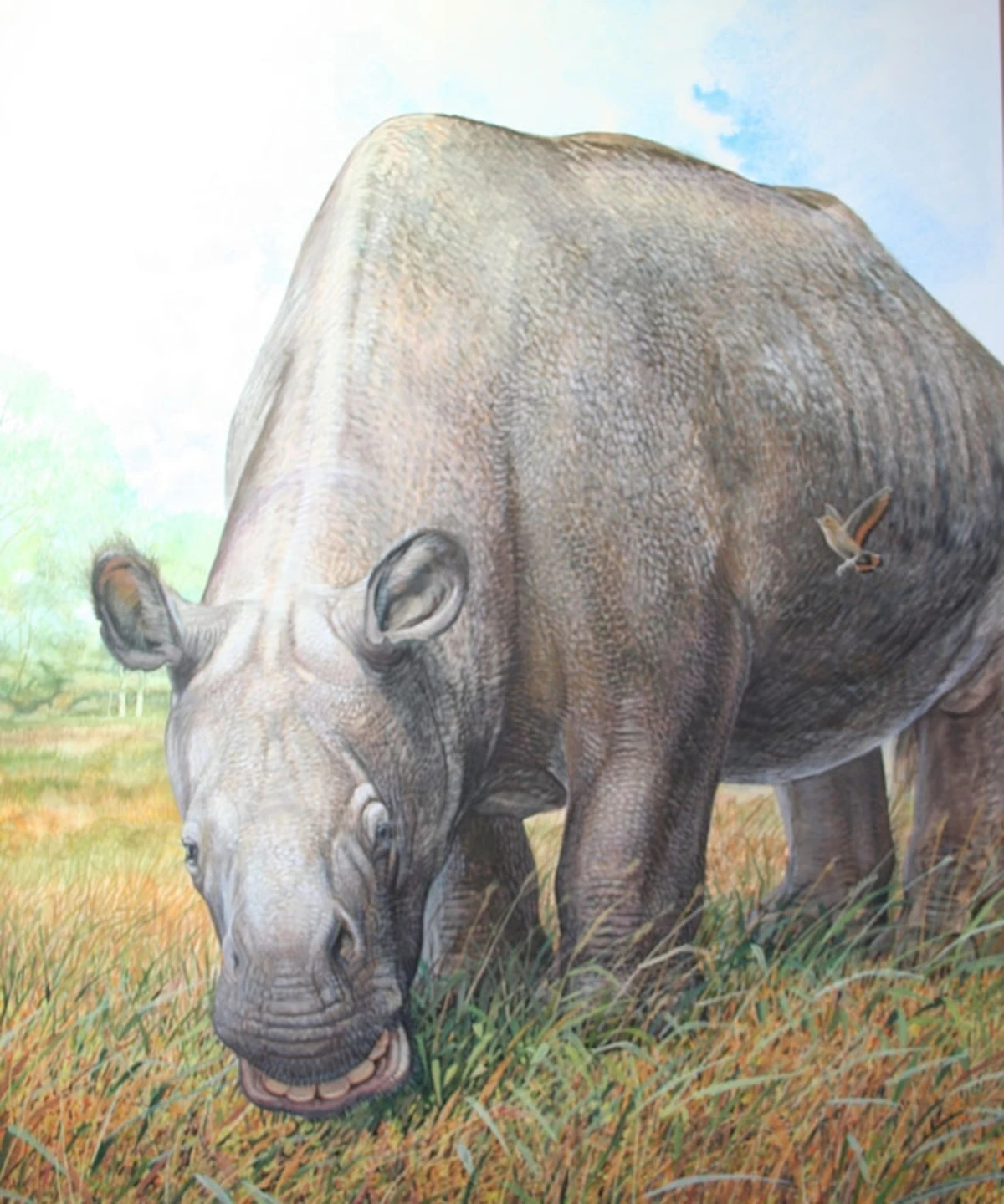 Toxodon | Sixth Extinction Wiki | Fandom