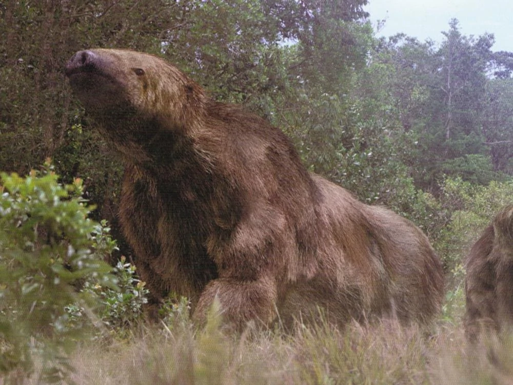Megatherium | Sixth Extinction Wiki | Fandom
