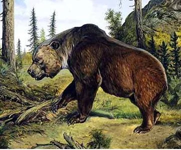 Atlas Bear | Sixth Extinction Wiki | Fandom