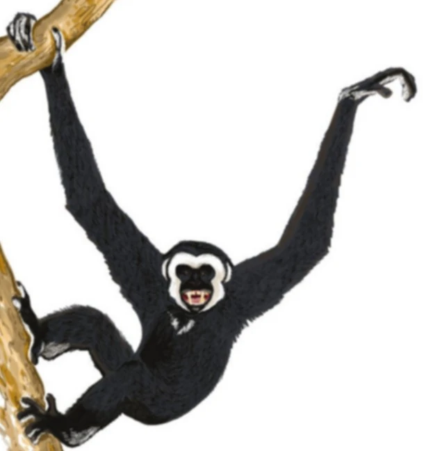 Junzi | Sixth Extinction Wiki | Fandom