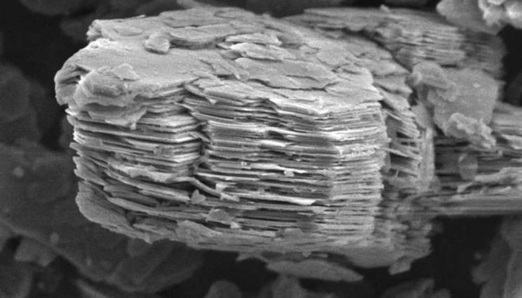 Clay Particle | Size Comparison of EVERYTHING Wiki | Fandom