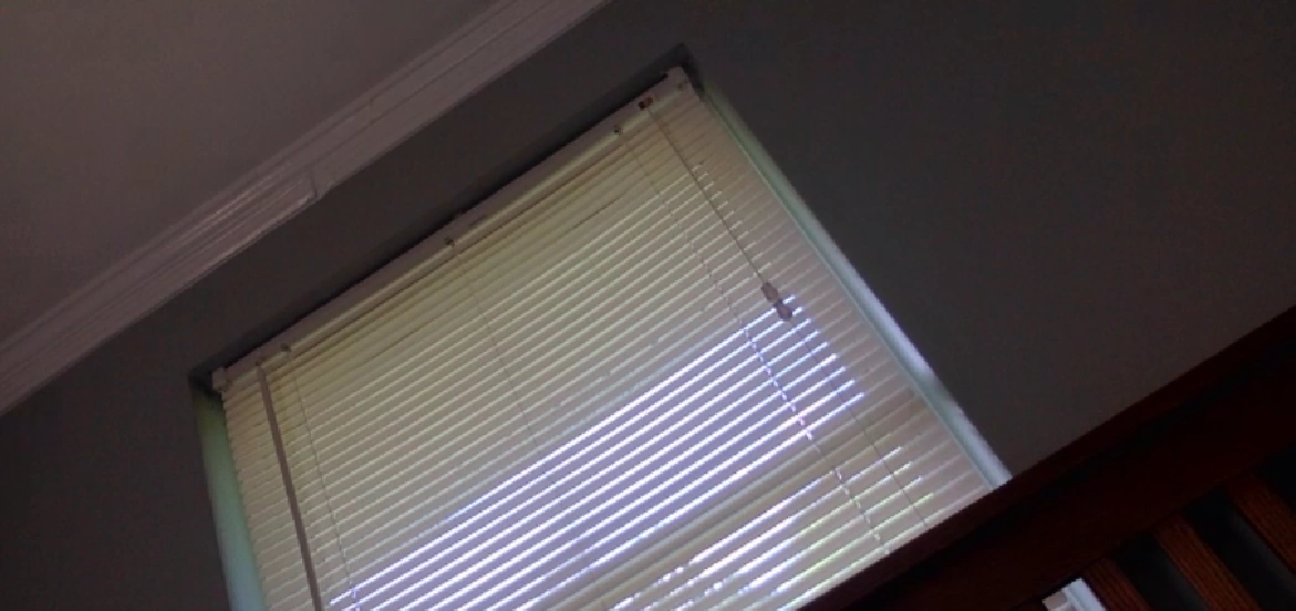 Scoggins House | The Samuel Jones Show Wiki | Fandom