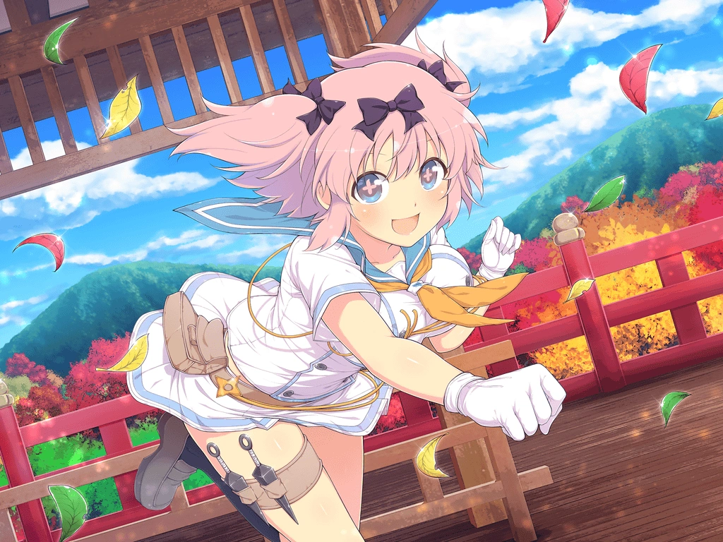 Hibari (Hanzō Shinobi Uniform) | Senran Kagura New Link Wiki | Fandom