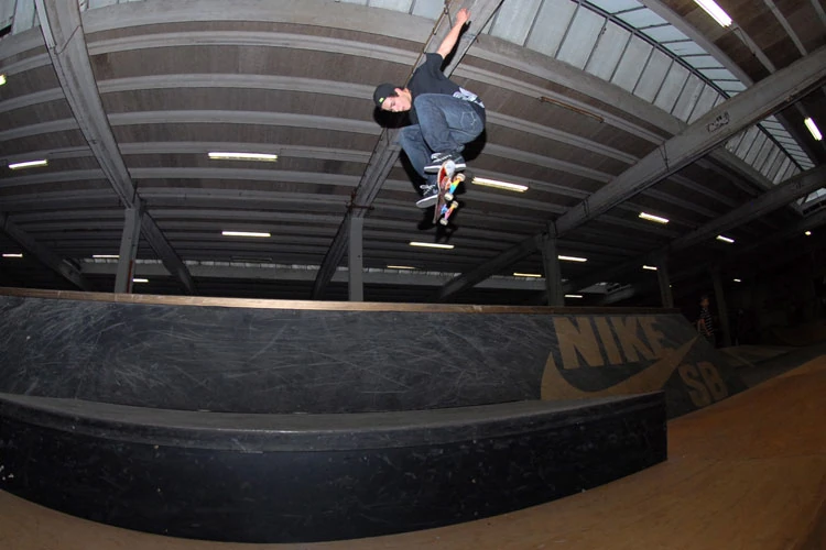 Flip | Wiki Skate | Fandom