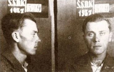 NAVICKIS Jonas | Serial Killer Database Wiki | Fandom