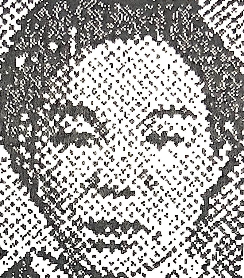 Shizu Sugiyama＆Jiichiro Iwasaki | Serial Killer Database Wiki | Fandom