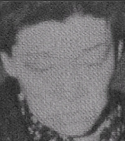 SUGIMURA Sadame | Serial Killer Database Wiki | Fandom