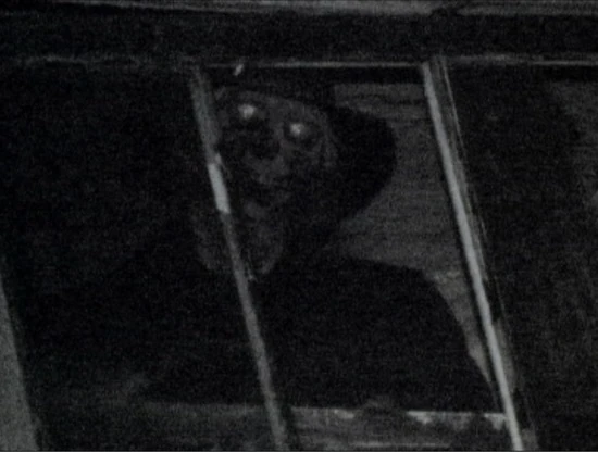 Old Joe Bush | Skeleton Creek Wiki | Fandom