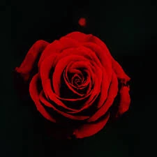 MegaPVP | Skeppy Wiki | Fandom