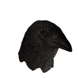 The Crow | Sker Ritual Wiki | Fandom