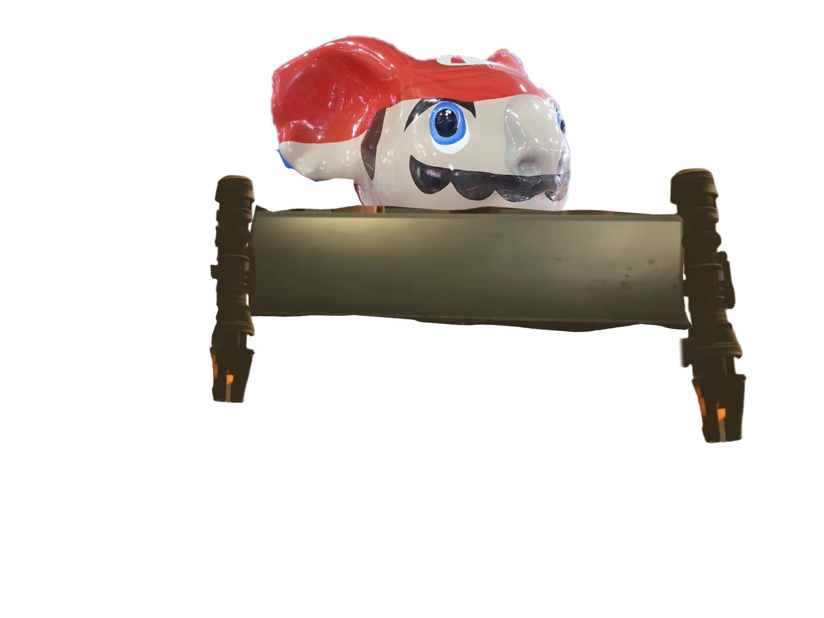 Mario koala bathtub | Skibidi Toilet Fanon Wiki | Fandom
