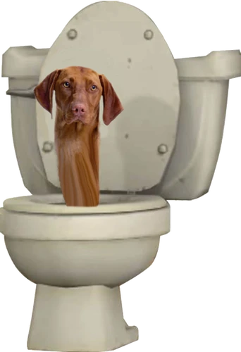 Dog Skibidi Toilet | Skibidi Toilet Fanon Wiki | Fandom