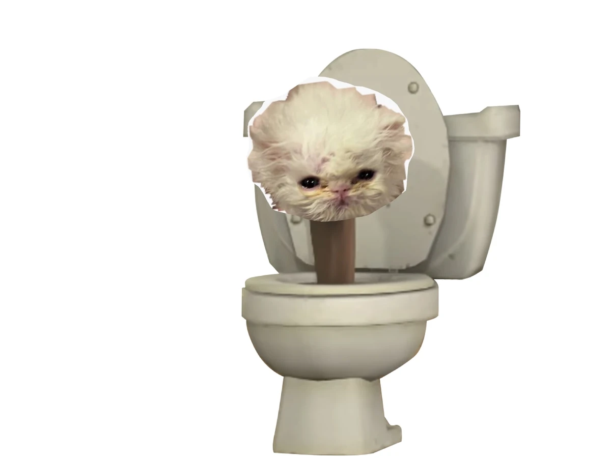 Wisp cat toilet | Skibidi Toilet Fanon Wiki | Fandom