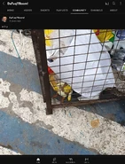 DaFuq!?Boom!/Gallery | Skibidi Toilet Wiki | Fandom