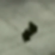 skibidi toilet 22 | Skibidi Toilet Wiki | Fandom